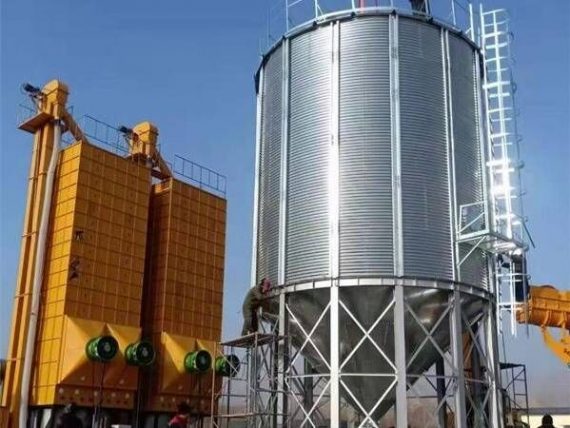 100 Ton Grain Silo - haokebang