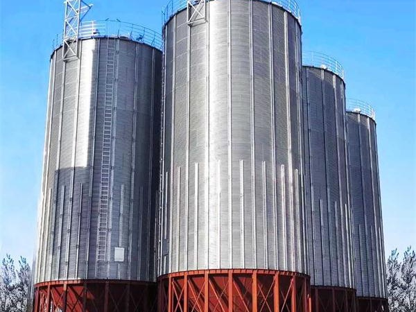 1000 Ton Grain Silo - haokebang