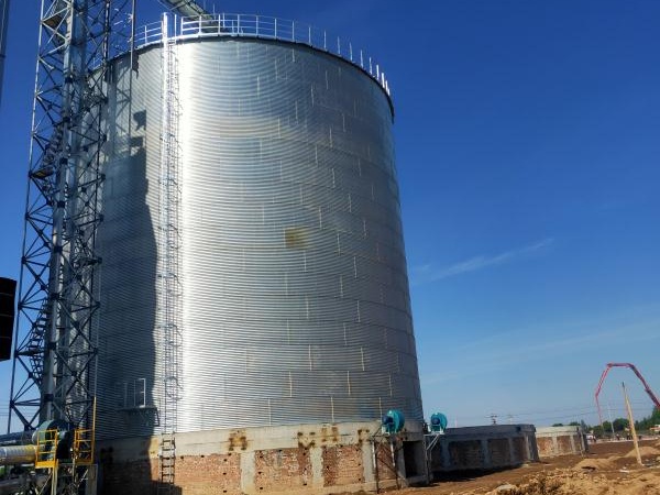 10000 Ton Grain Silo - haokebang