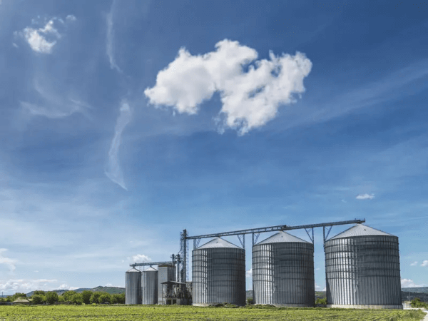 5000 Ton Grain Silo - haokebang